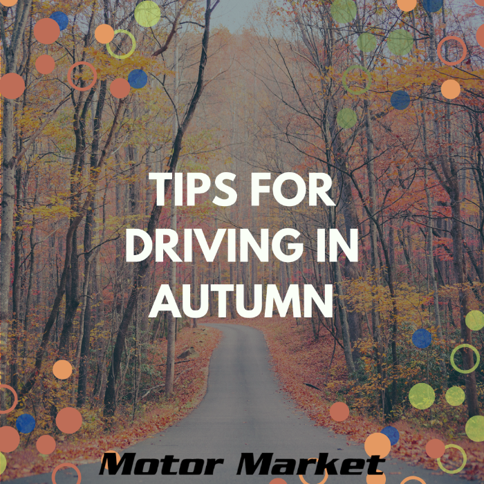 Tips for Driving In Autumn | Motor Market