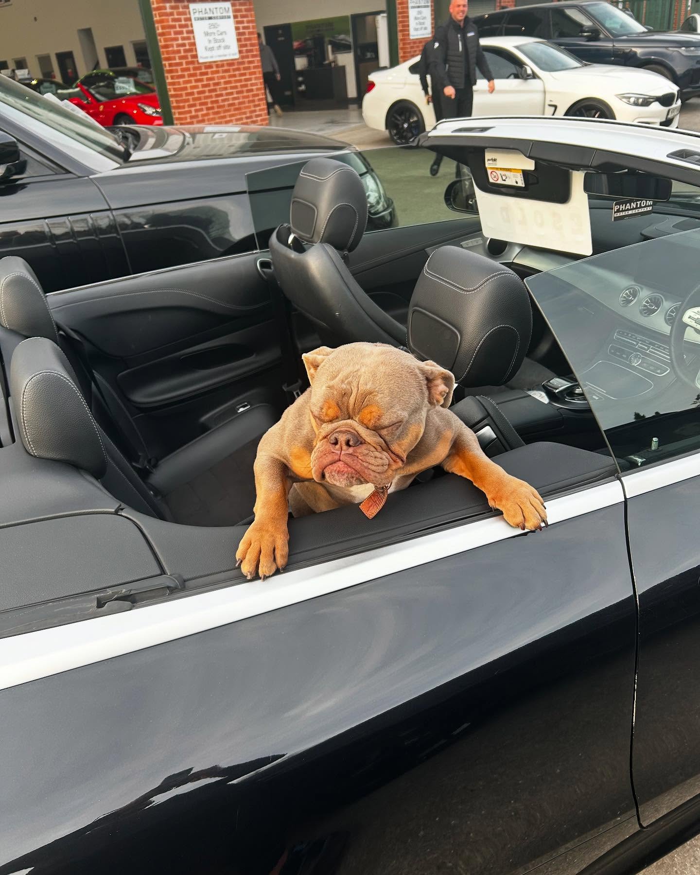 Maggie had a 5 star experience | Phantom Motor Company