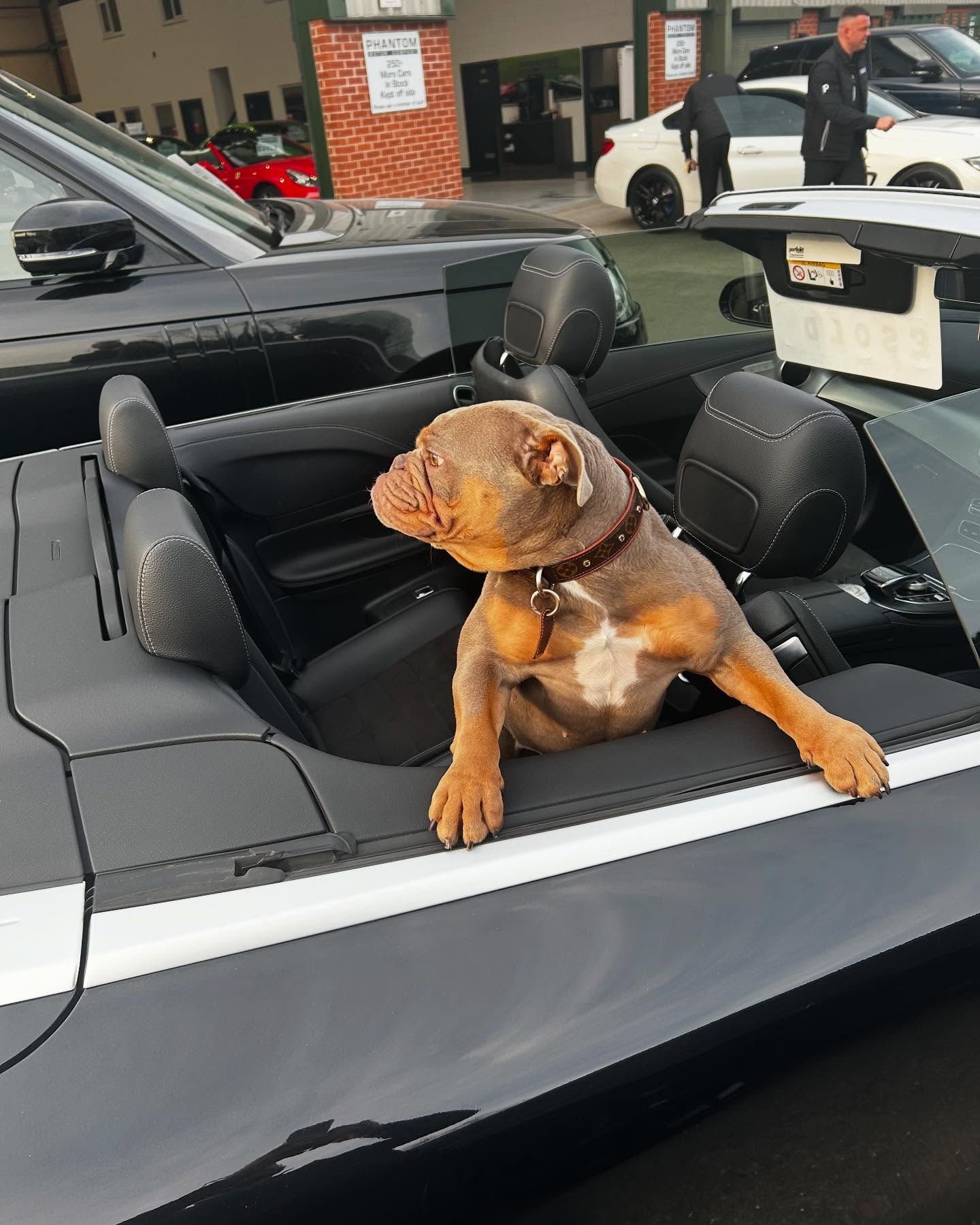 Maggie had a 5 star experience | Phantom Motor Company