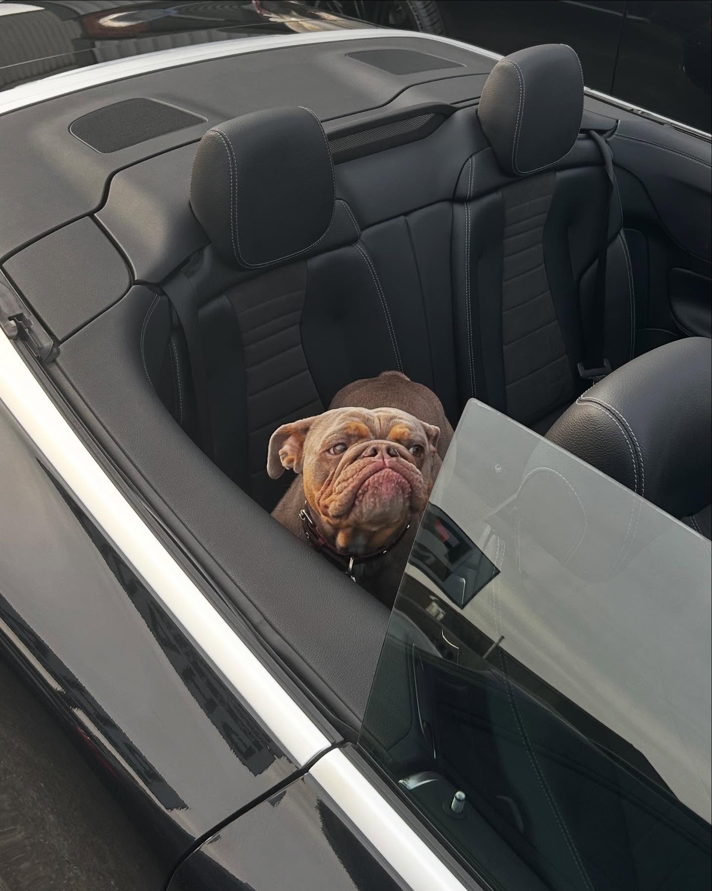 Maggie had a 5 star experience | Phantom Motor Company