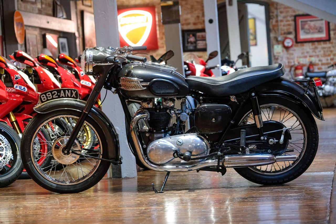 Triumph Thunderbird | The Bike Specialists | South Yorkshire