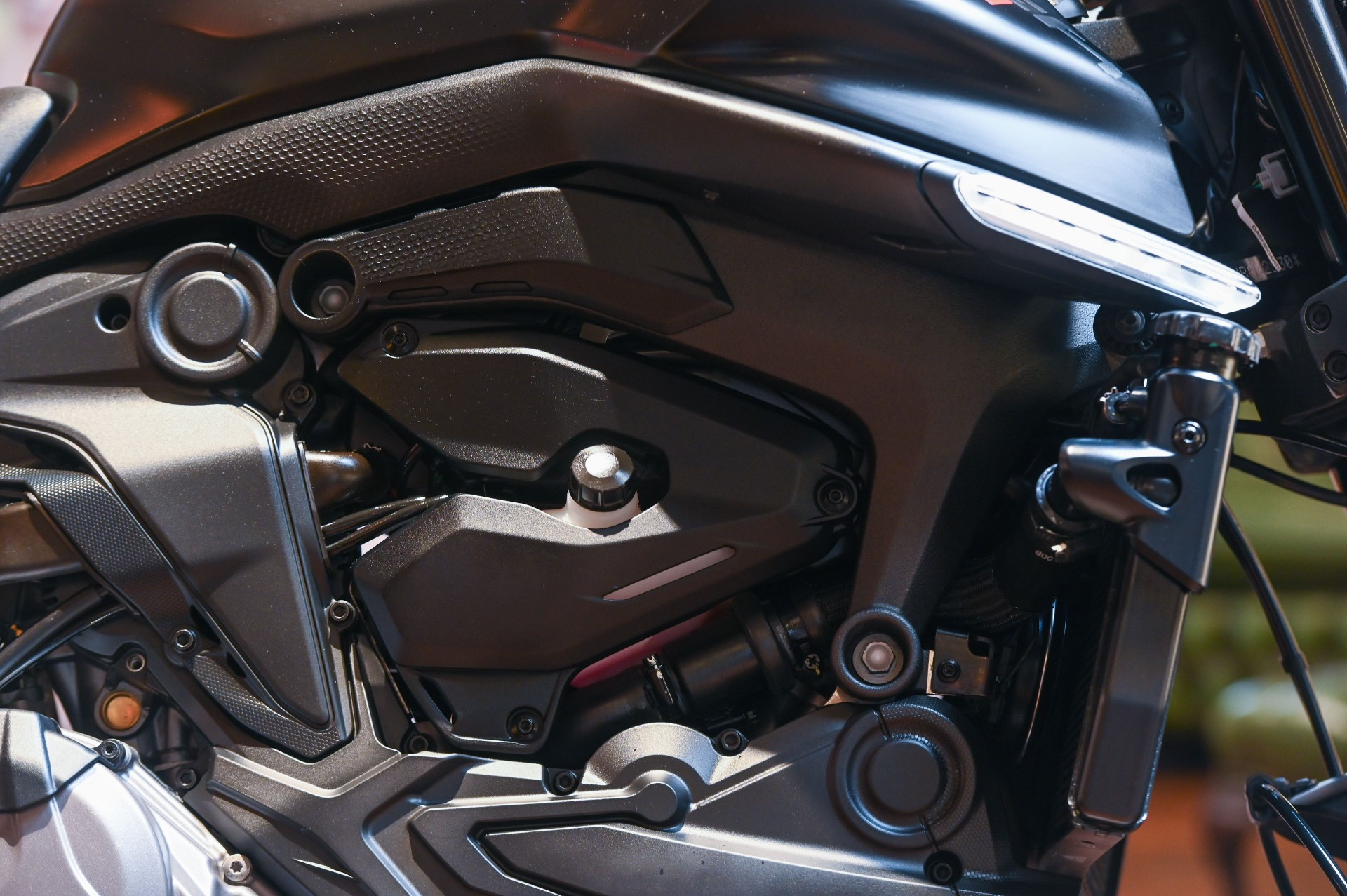 Ducati Monster | The Bike Specialists | South Yorkshire