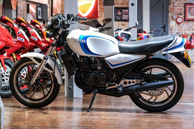 Yamaha RD250 | The Bike Specialists | South Yorkshire