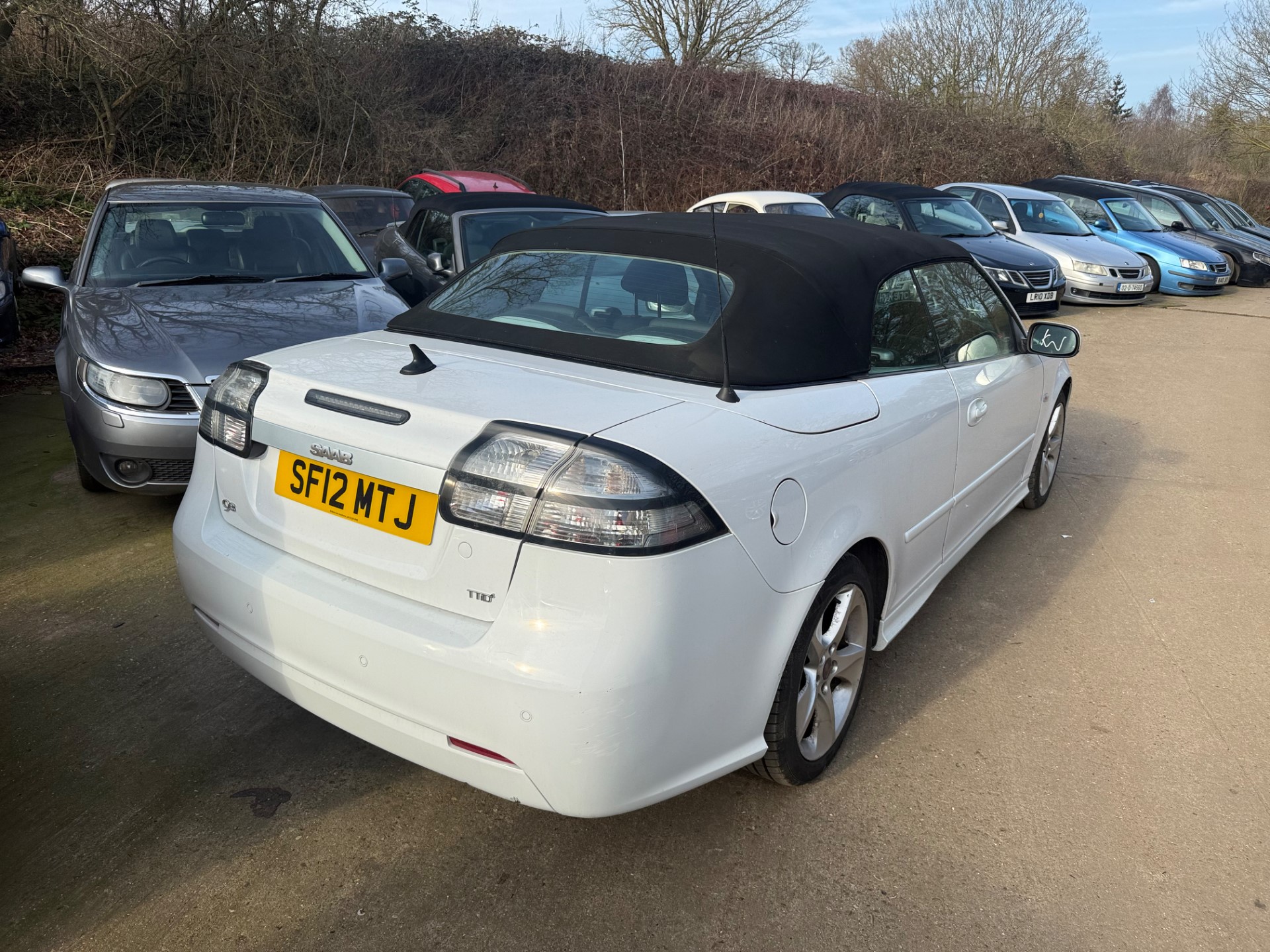 Used Saab 9-3 GRIFFIN Limited Edition for sale in Kimberley, Norfolk ...